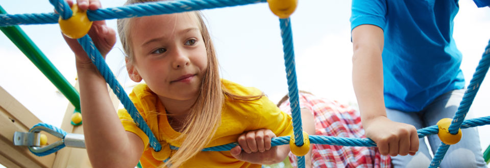 Access All Areas Services